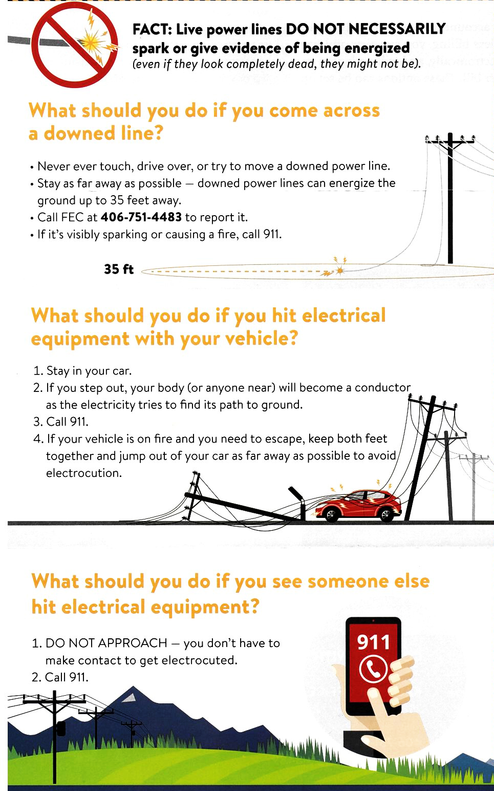 What to Do if You Come Across a Downed Power Line? – Borelli Architecture